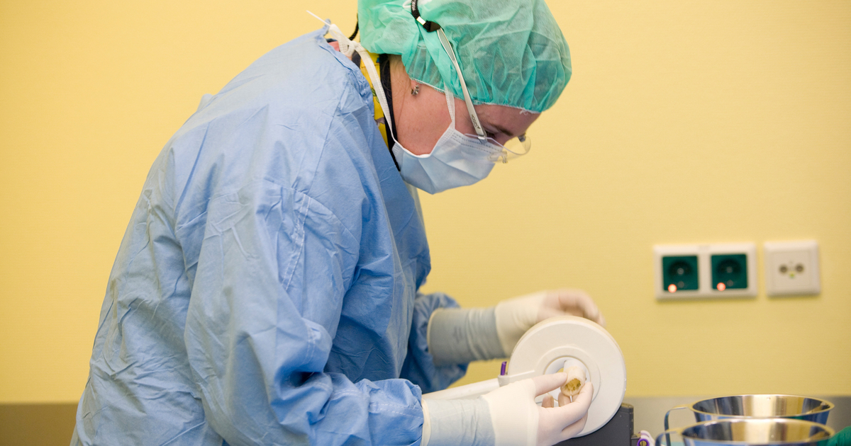 Catheter-based heart valve procedures - Immanuel Brandenburg heart ...